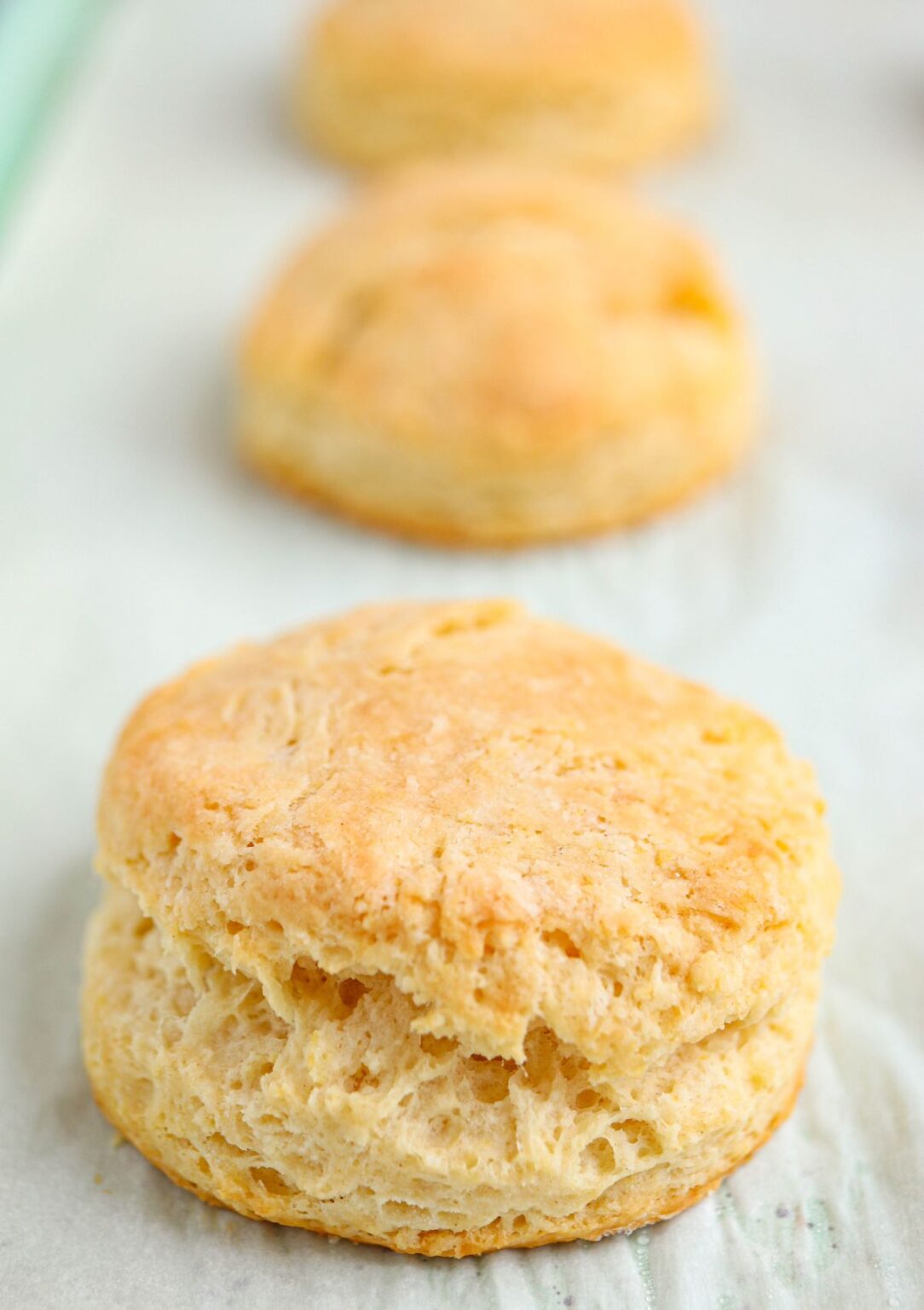 Biscuits Without Milk - Wholly Tasteful
