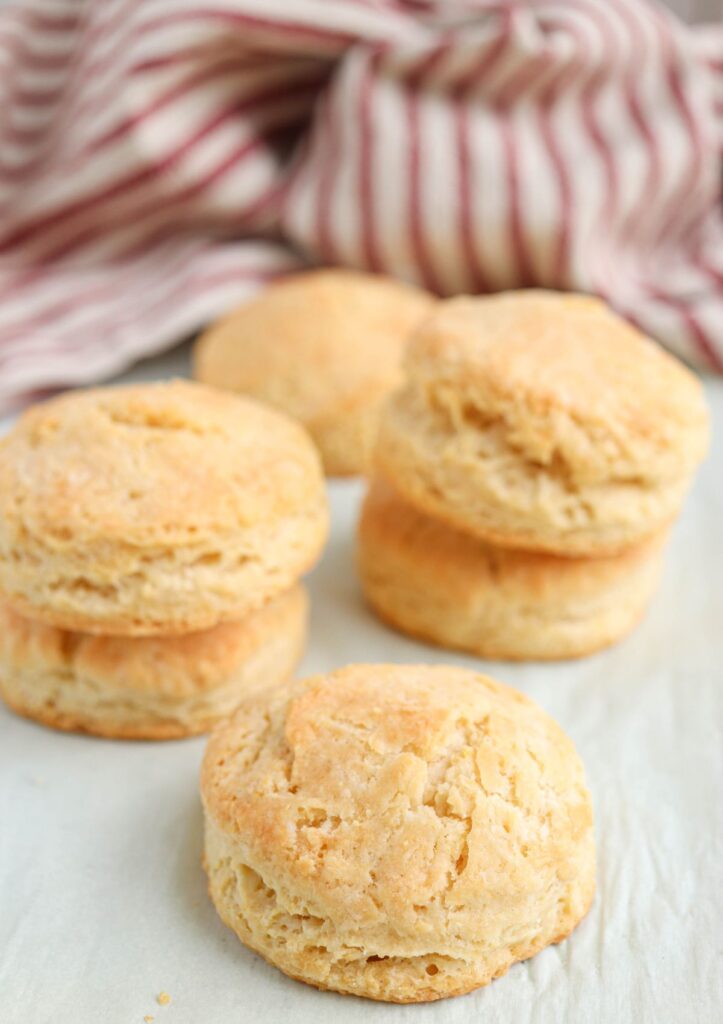 Biscuits Without Milk - Wholly Tasteful