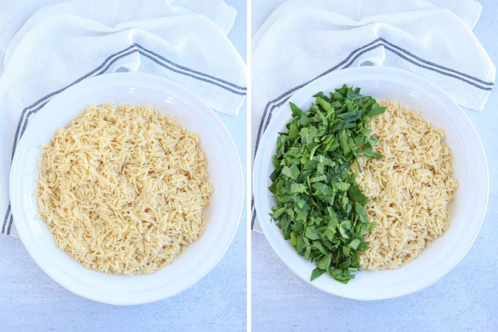 Pesto Orzo Salad with Mozzarella and Cherry Tomatoes - Wholly Tasteful